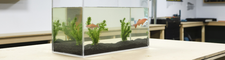 Want to make your own acrylic fish tank? - See our guide