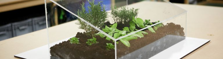 Build your mini greenhouse: A simple 5-step DIY project